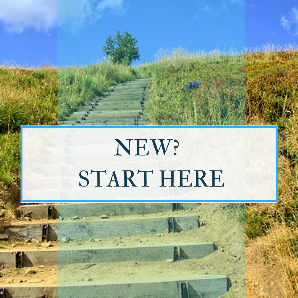 How to Use Loveselfcare - Loveselfcare