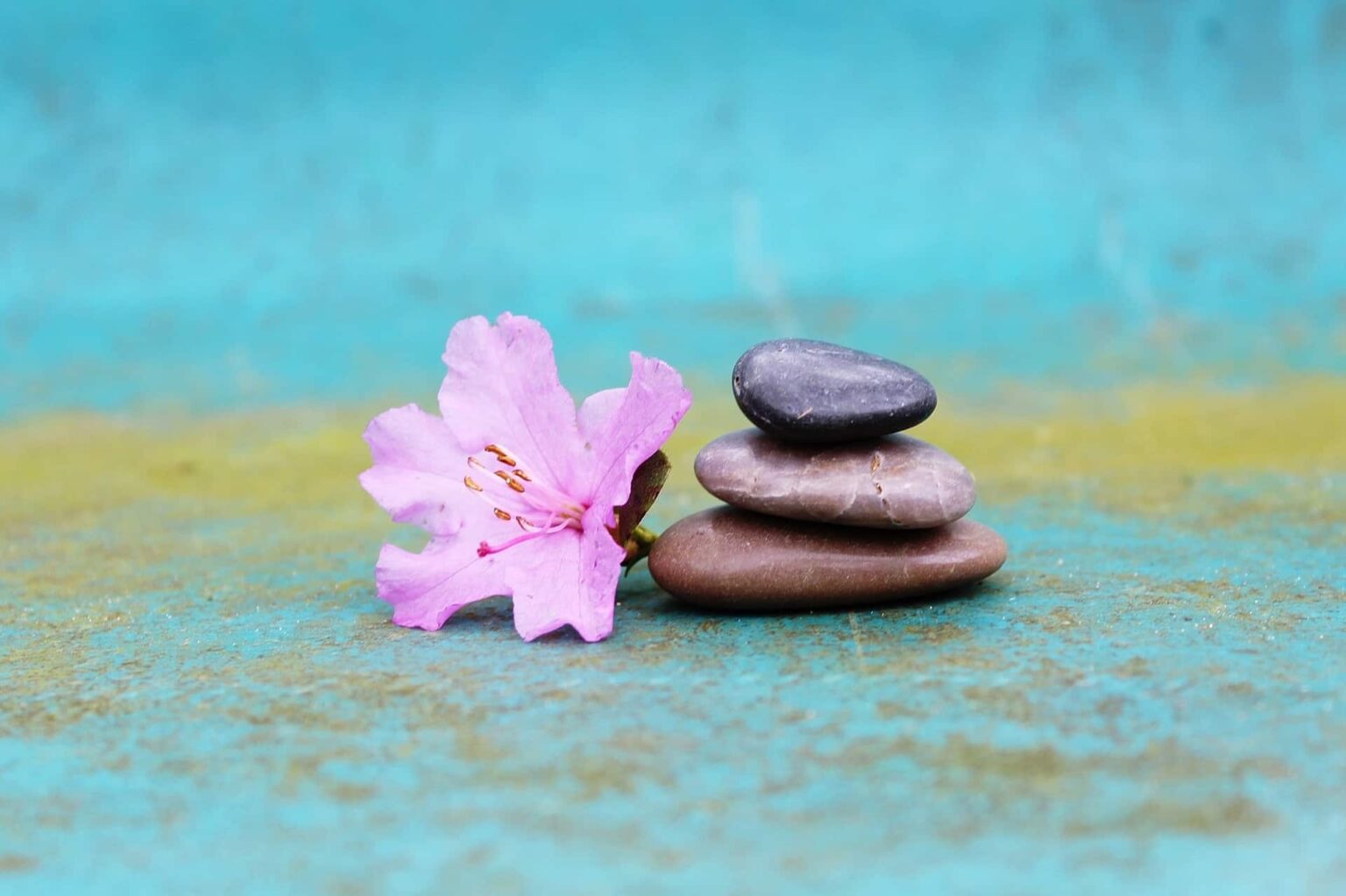 Meditation in 5 Easy Steps is Your Path to Calm - Loveselfcare