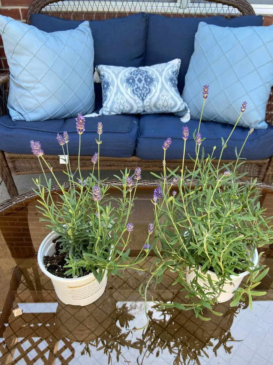 Want Summer Self Care Ideas? A Relaxation Bucket List - Loveselfcare