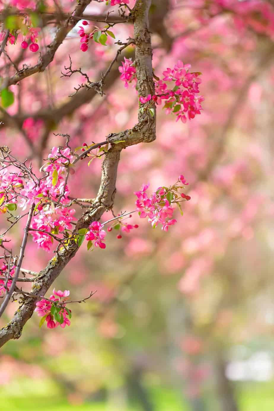 Try These Spring Self Care Ideas to Hit Refresh for You This Spring ...