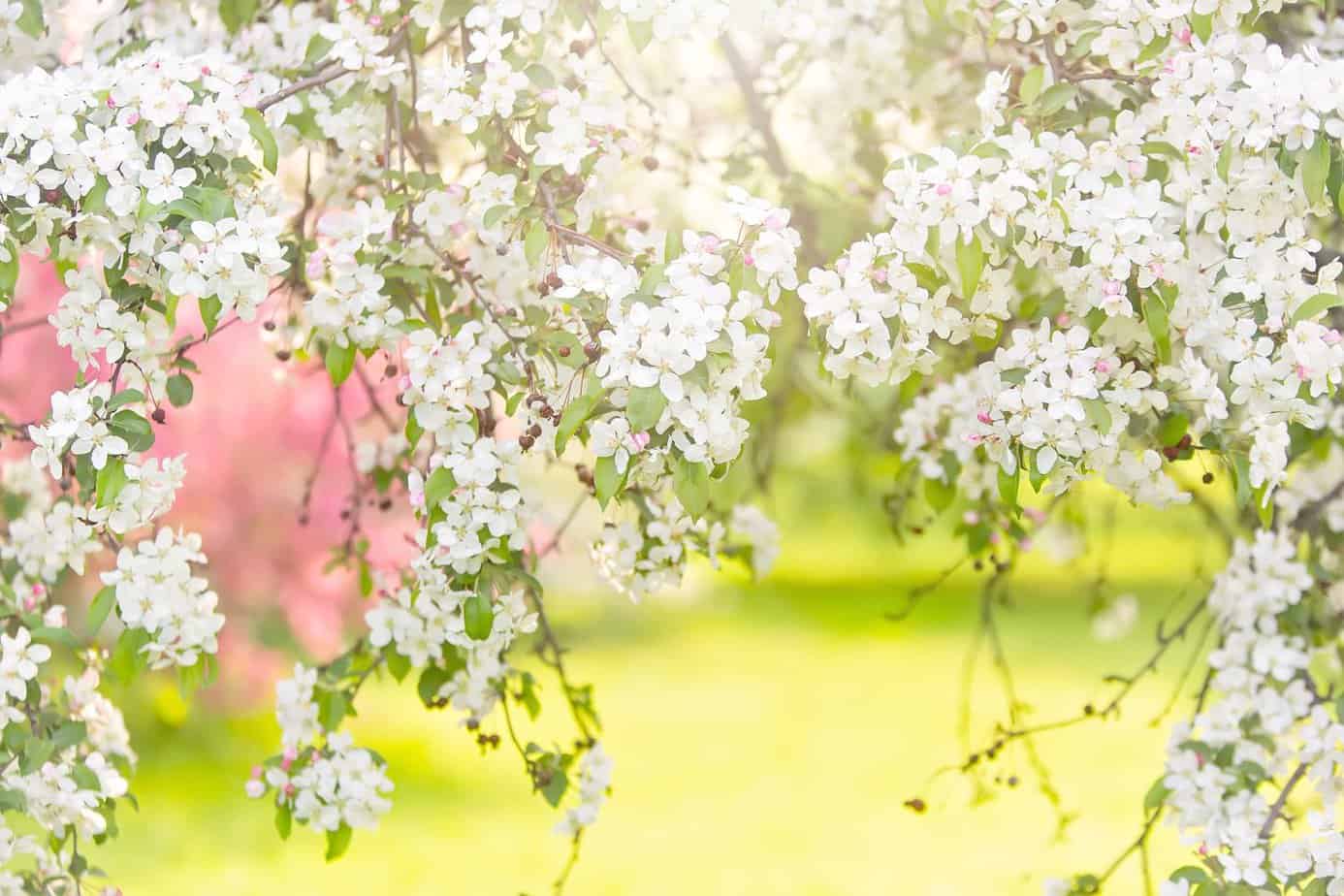 Try These Spring Self Care Ideas to Hit Refresh for You This Spring ...