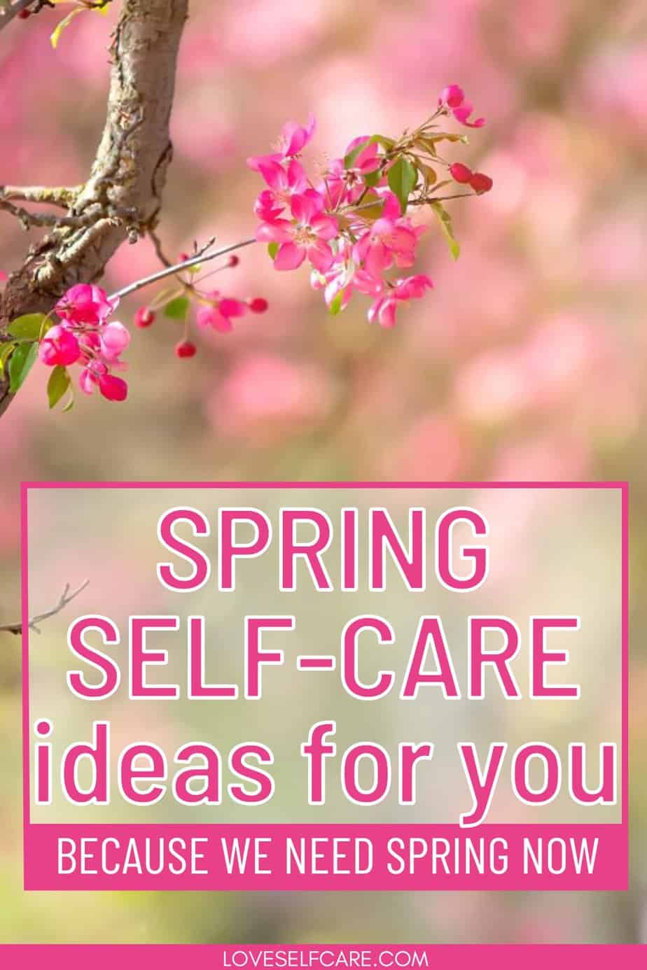 Try These Spring Self Care Ideas to Hit Refresh for You This Spring ...