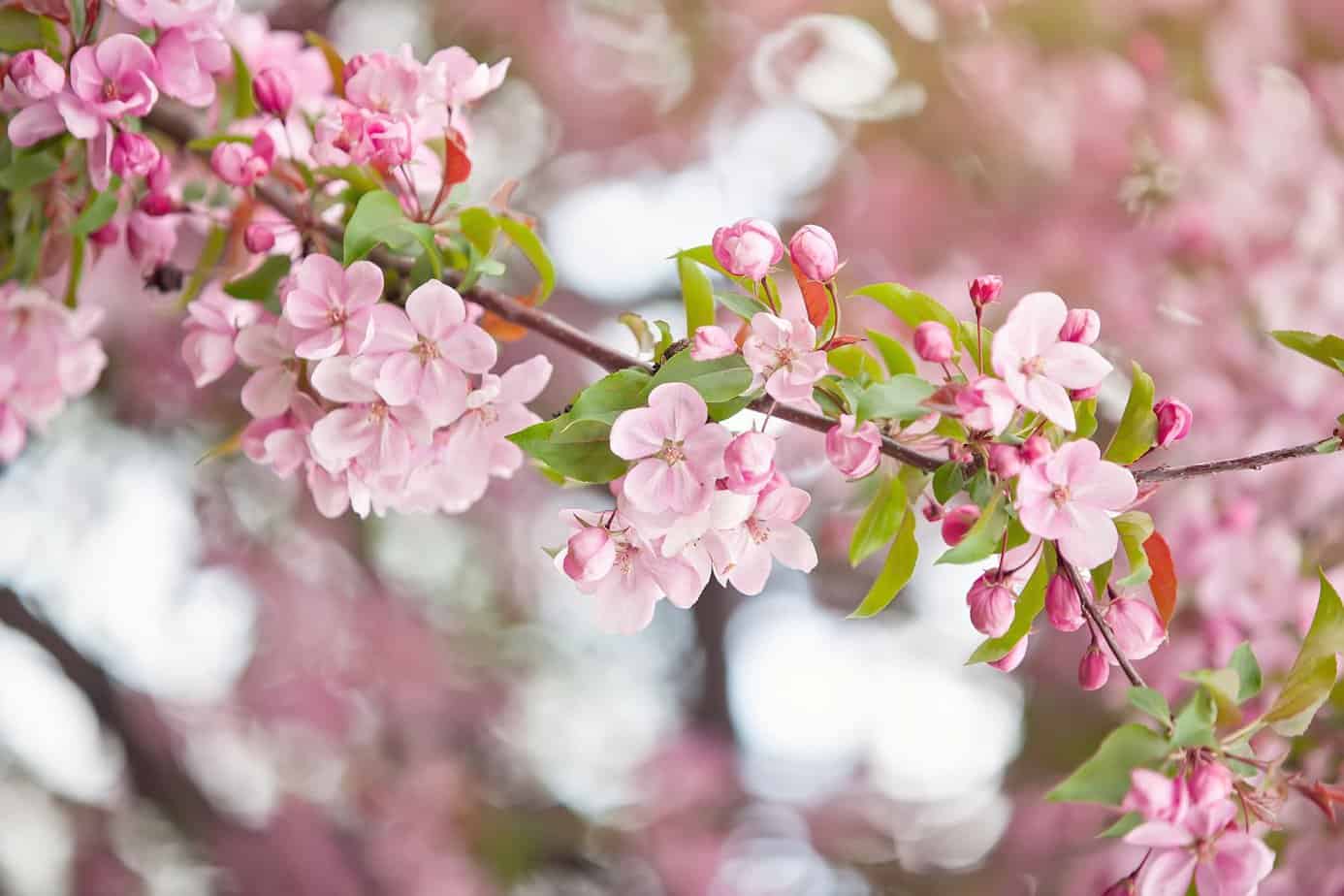 Try These Spring Self Care Ideas to Hit Refresh for You This Spring ...